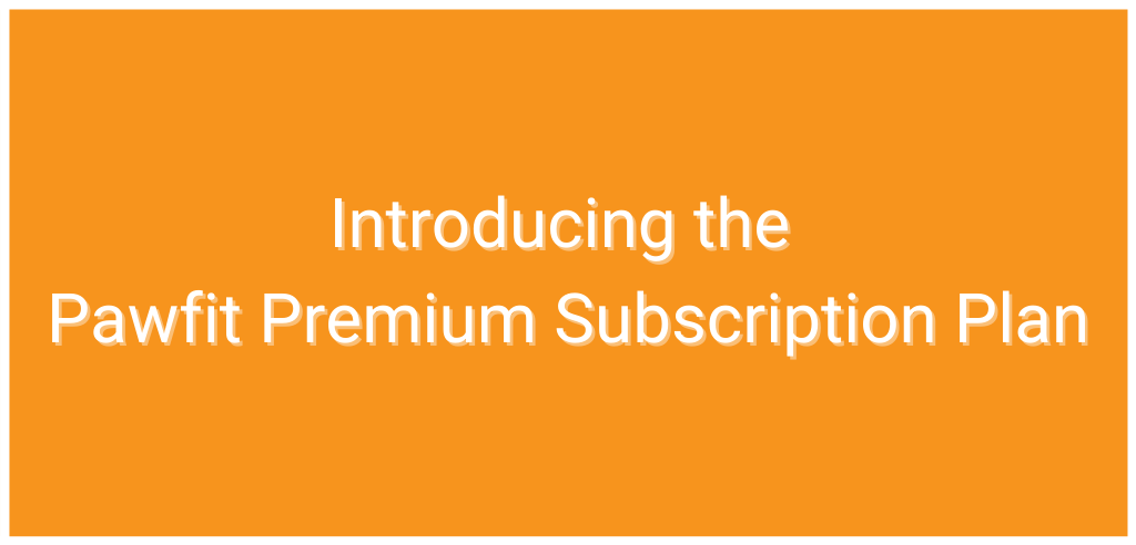 Introducing the new Premium subscription plan (and subscription price ...