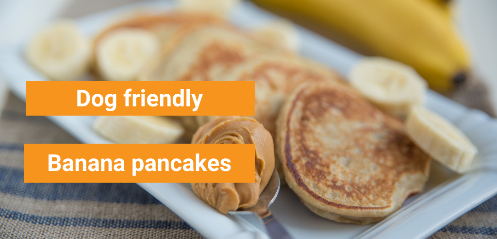 Easy banana pancake recipe for dogs