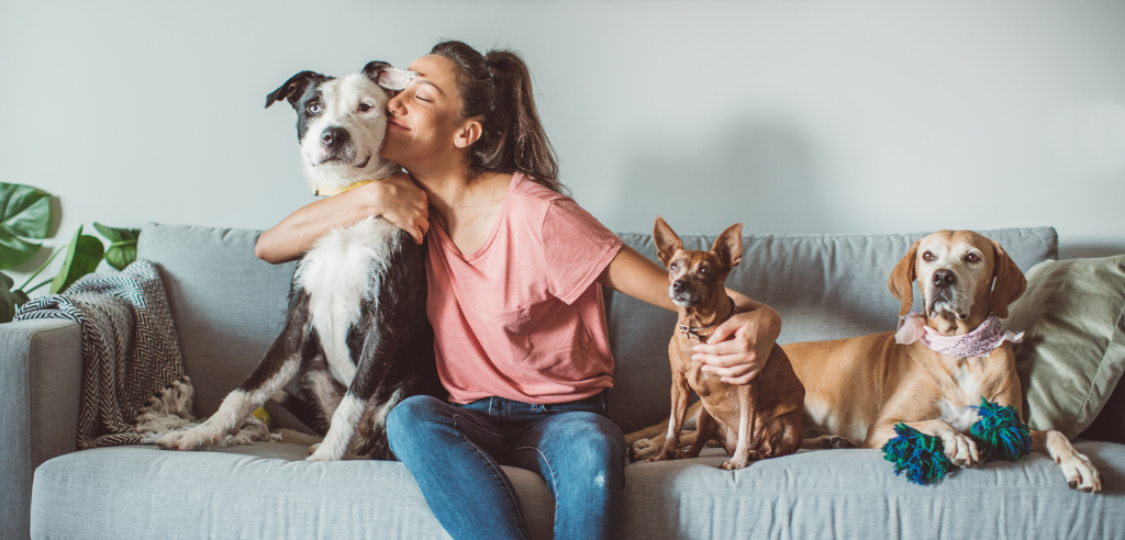 5 things you can do to be a responsible pet owner